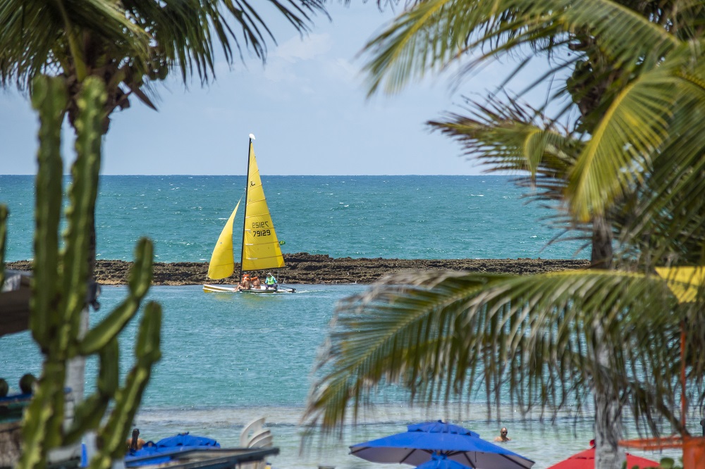 Praia do Francês: conheça passeios imperdíveis